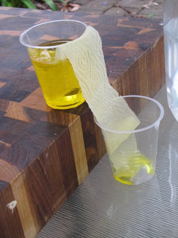 20 Cool Science Project Ideas For Kids Hative 20 Cool Science Project Ideas For Kids Hative